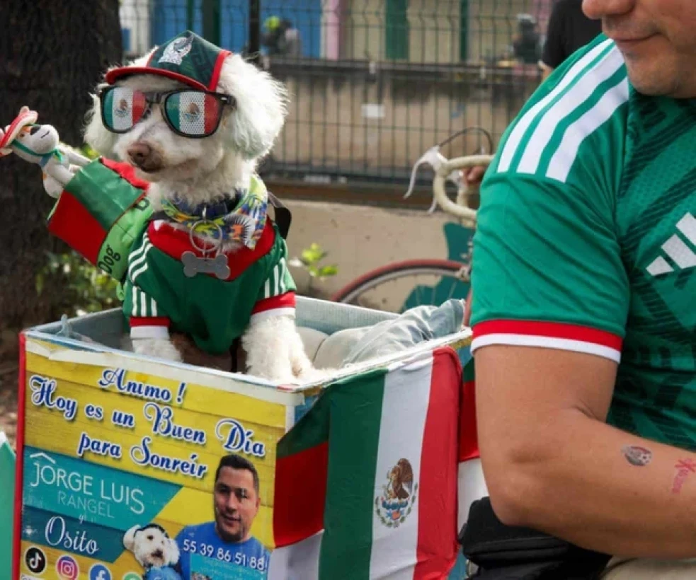 Osito, the traveling dog that stole hearts at the World Cup – La Voz de ...